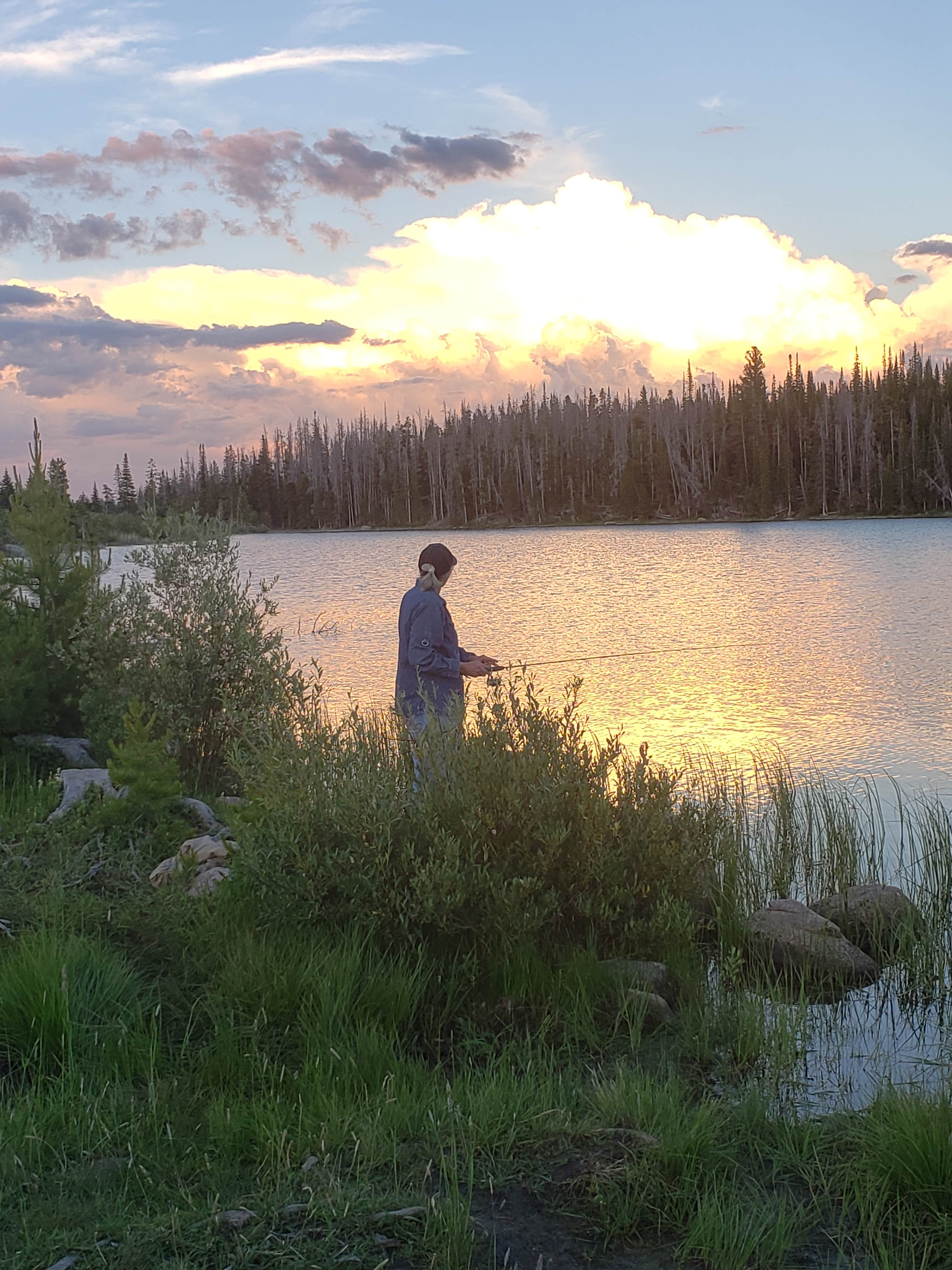 Teal Lake Group Campsite | Coalmont, CO