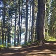 Council Lake Camping | Skamania, WA