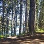 Council Lake Camping | Skamania, WA