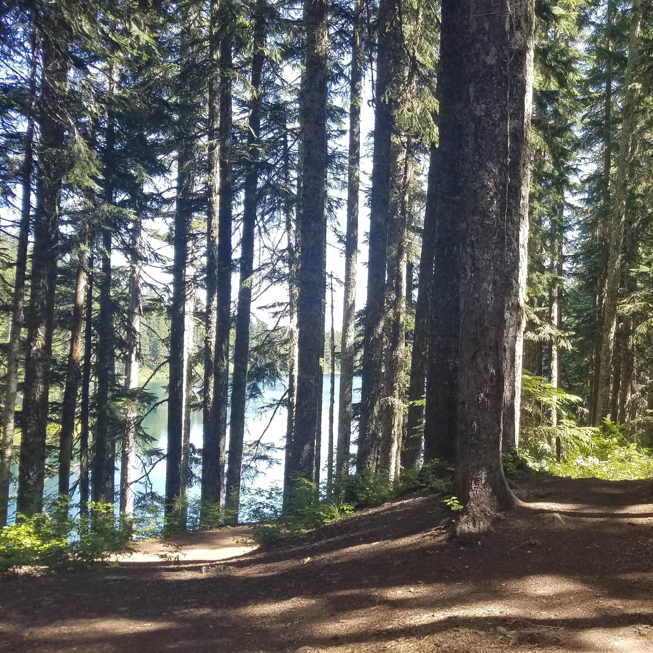 Council Lake Camping | Gifford Pinchot National Forest, Washington