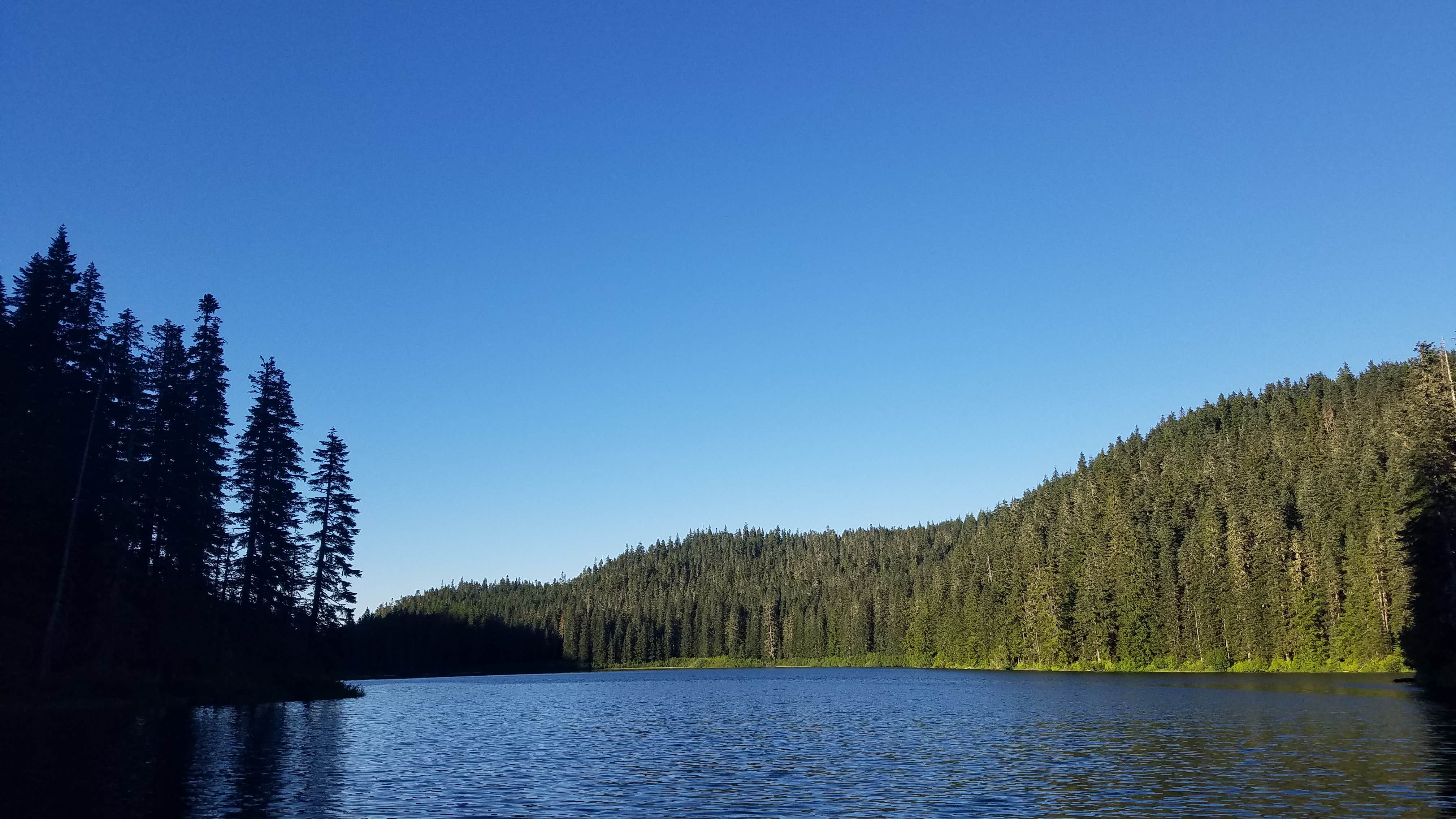 Council Lake | The Dyrt