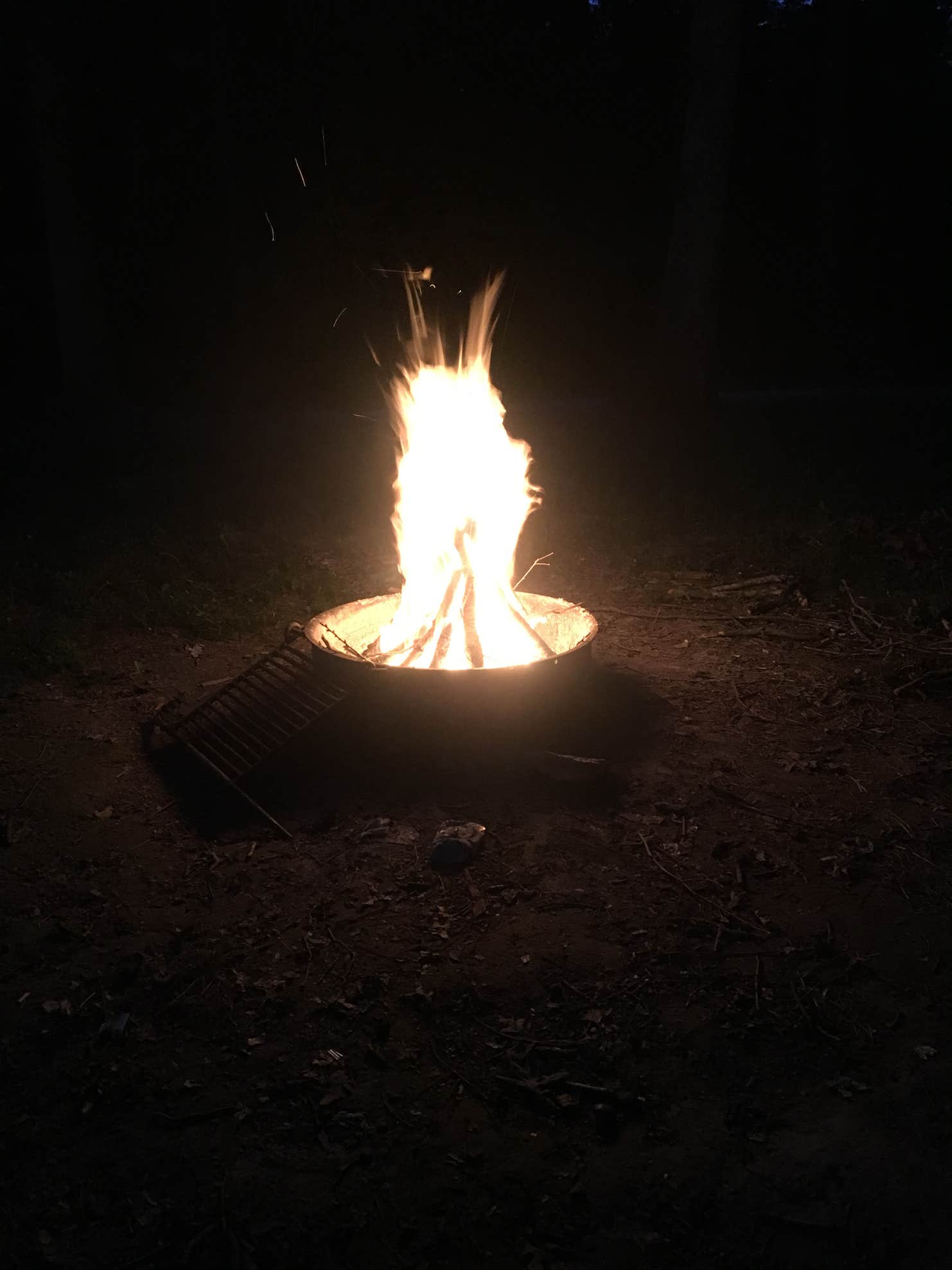 Turkey Foot Campground Camping | The Dyrt