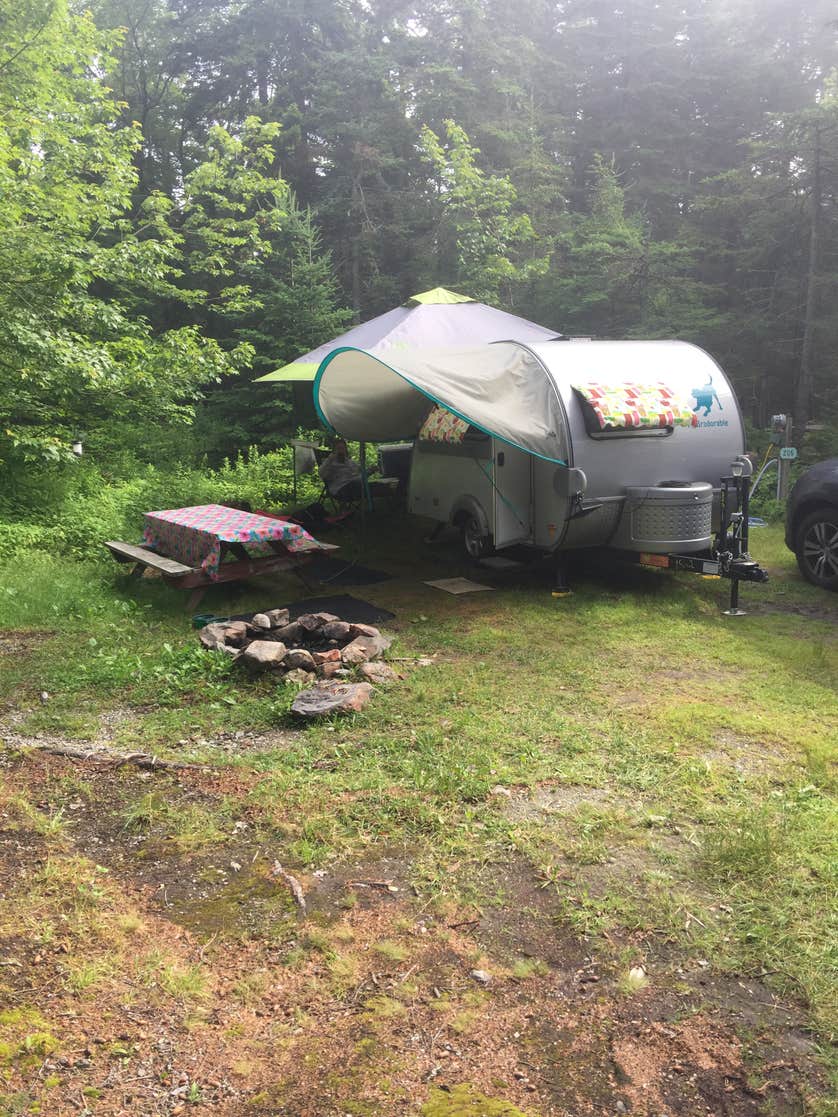 Bass Harbor Campground Camping | The Dyrt