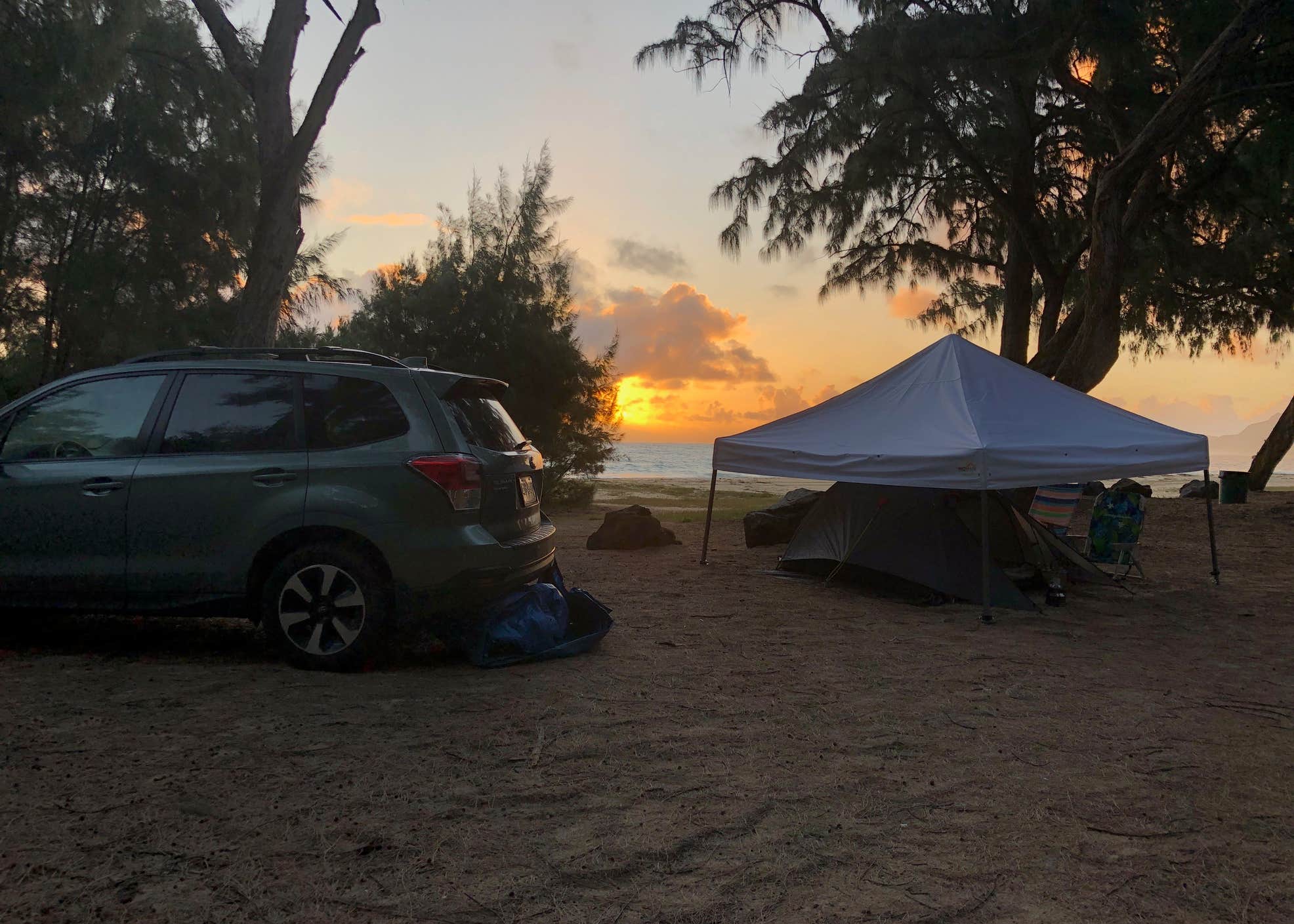 Bellows Field Beach Park Camping | The Dyrt