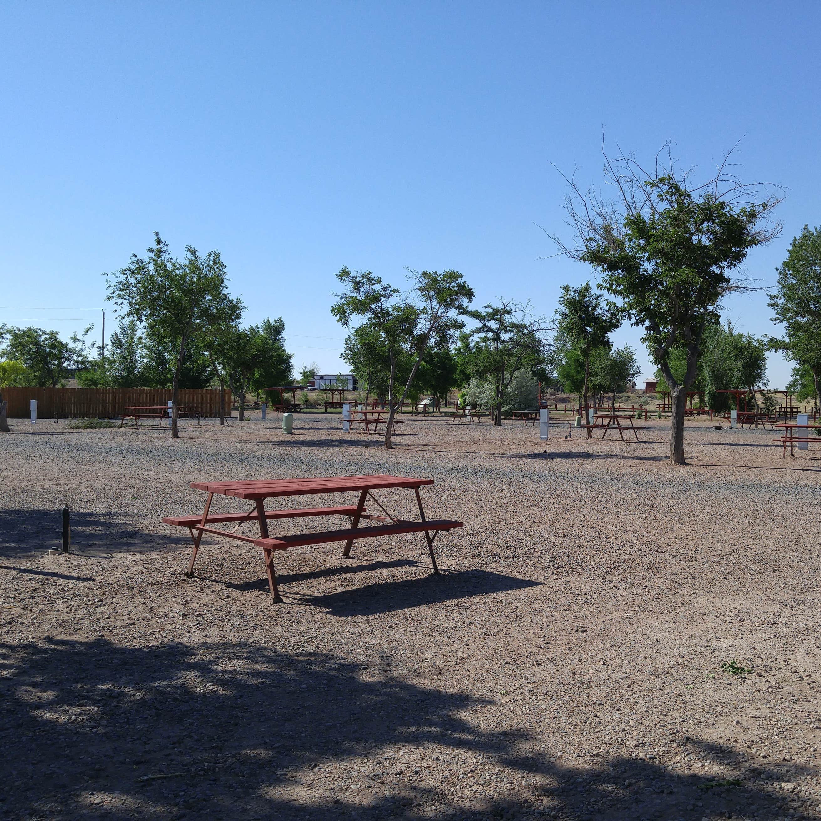 Holbrook/Petrified Forest KOA Camping | The Dyrt