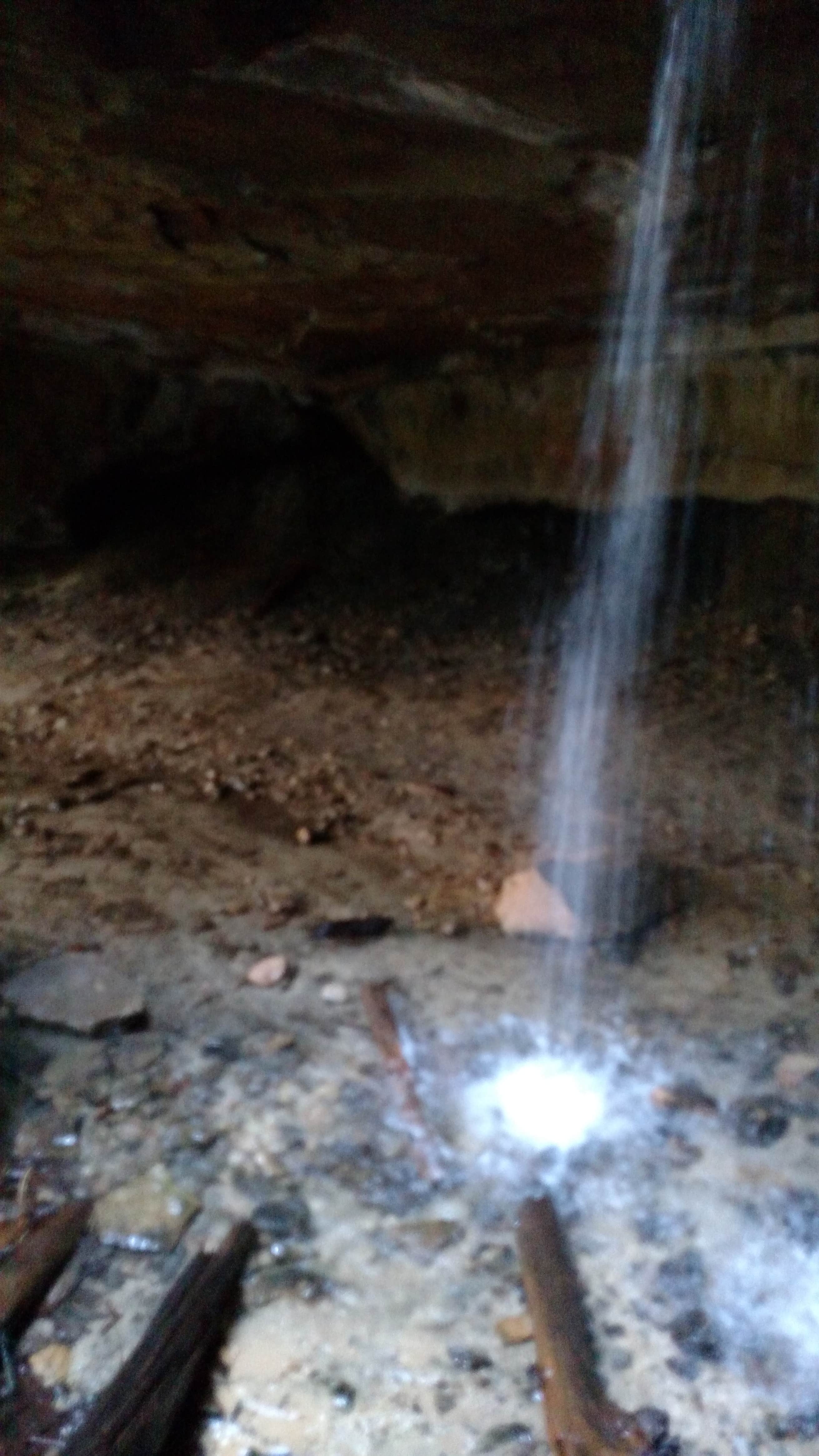 Bee Rock Rec Area Camping | The Dyrt