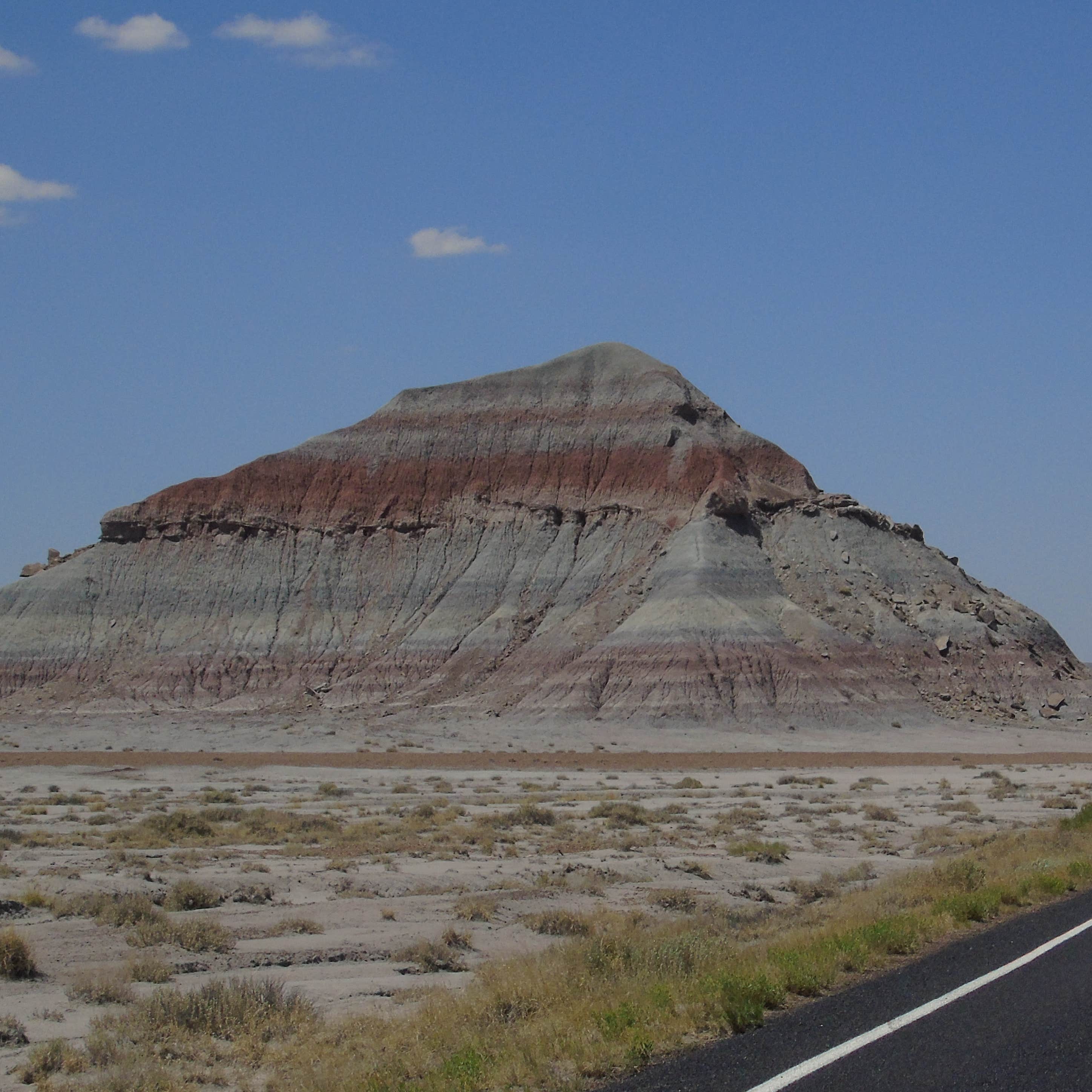 Holbrook/Petrified Forest KOA Camping | The Dyrt