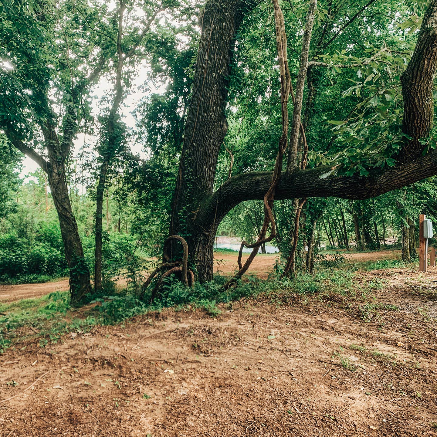 Mulberry River Outdoor Adventures Camping | Mulberry, AR