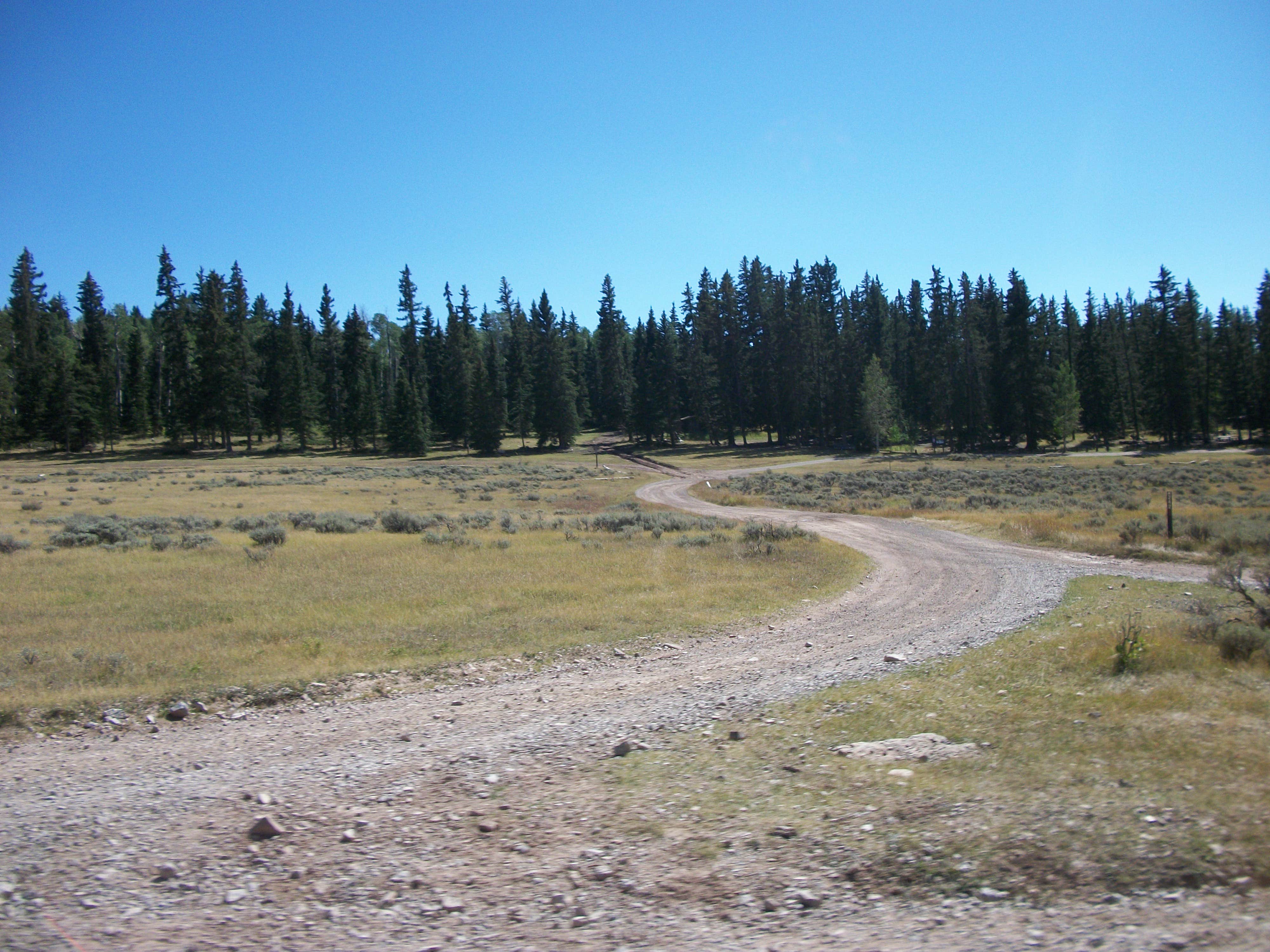 Iron Springs Group Campground - Ashley National Forest | Flaming Gorge, UT