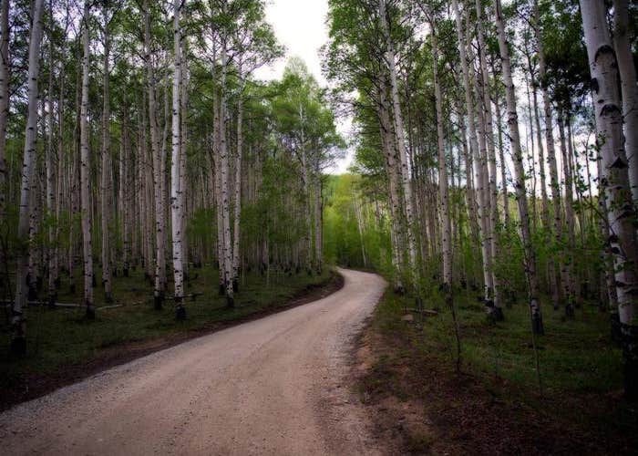 Lone Rock Campground Camping | The Dyrt