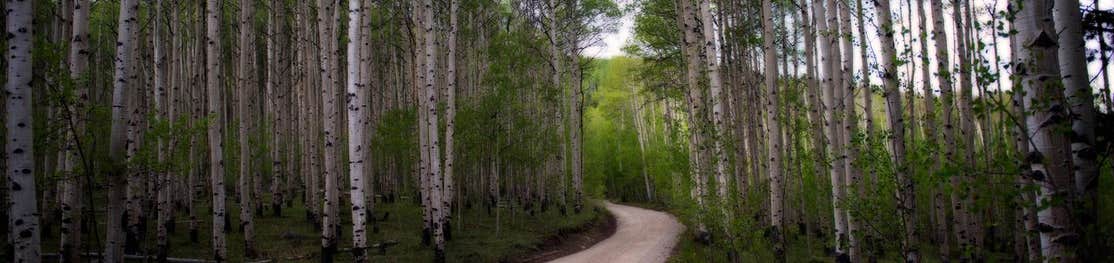 Lone Rock Campground Camping | The Dyrt