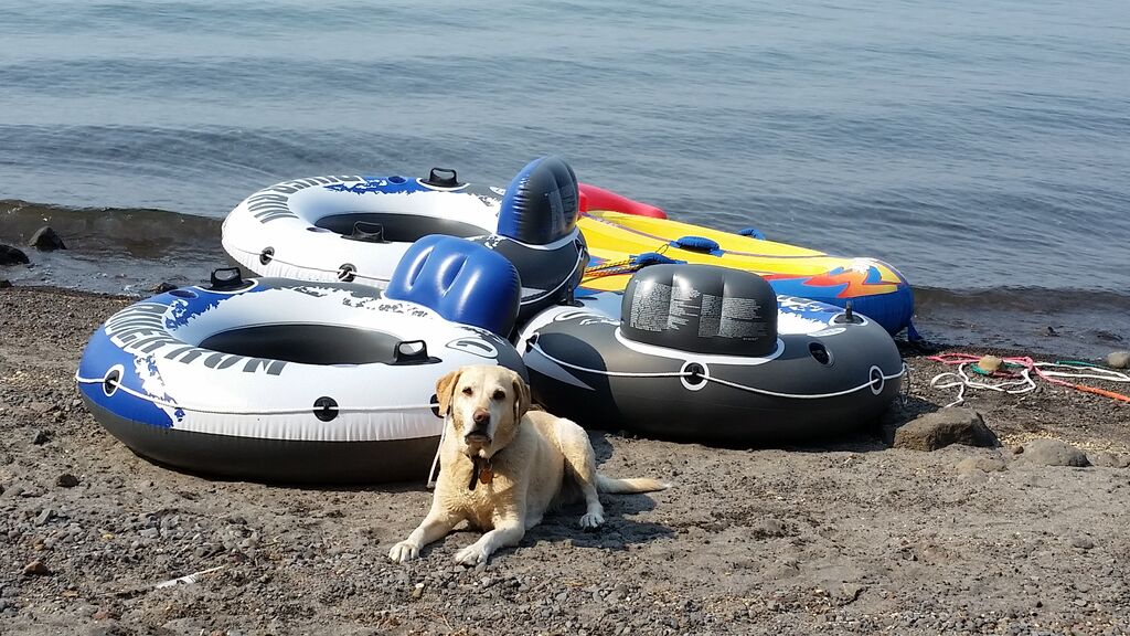 Simax Group Camp Camping | The Dyrt