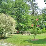 Hidden Cove RV Resort Camping | The Dyrt