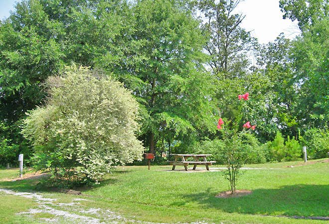 Thousand Trails Hidden Cove Camping | Arley, AL