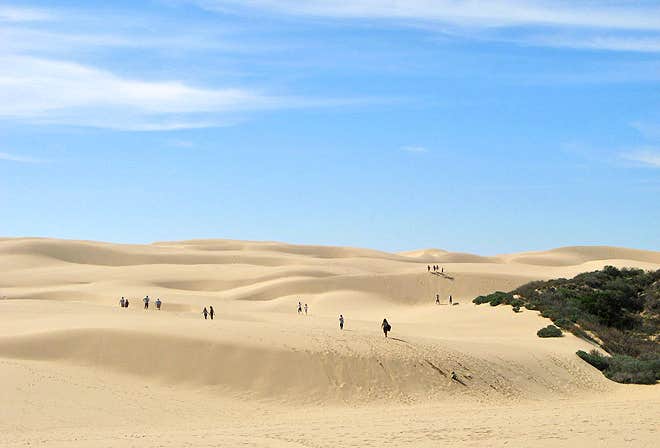 Pacific Dunes Ranch RV Resort Camping | The Dyrt