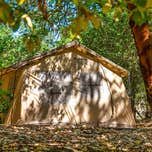 Russian River RV Campground Camping | The Dyrt