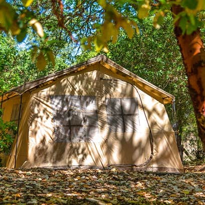 Russian River RV Campground Camping | The Dyrt