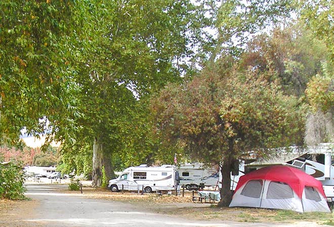 Thousand Trails San Benito Camping | Paicines, CA