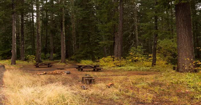 Atkisson Group Camp | Trout Lake, Washington