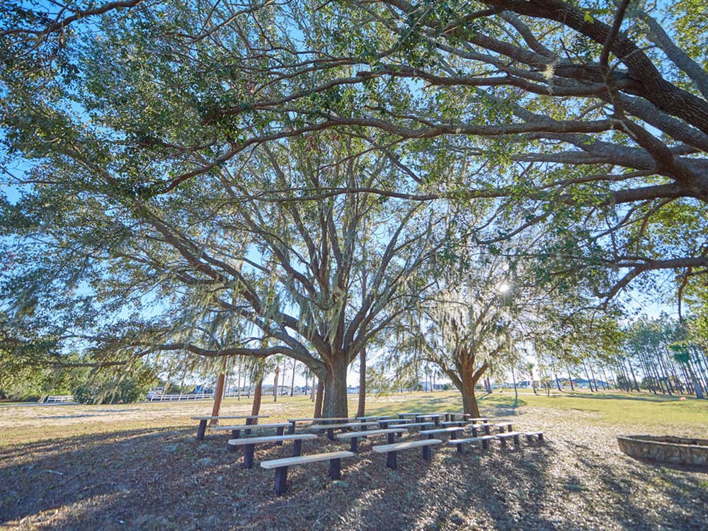 Thousand Trails Orlando Camping | Clermont, Florida
