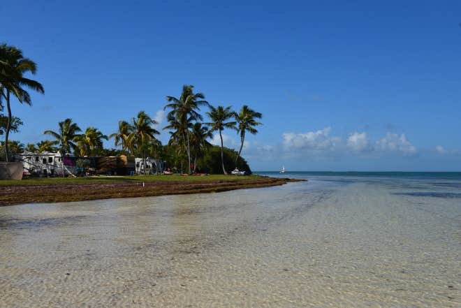 Encore Sunshine Key Camping | Big Pine Key, FL