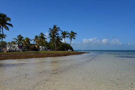 Sunshine Key RV Resort & Marina Camping | The Dyrt