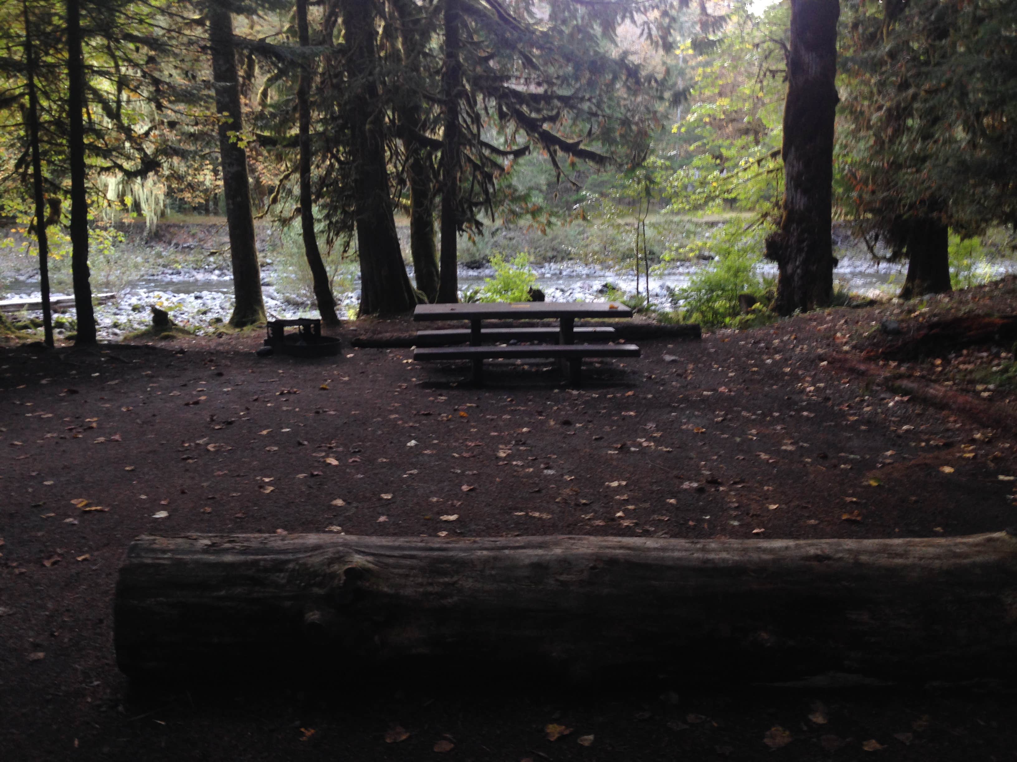 Staircase Campground — Olympic National Park | Hoodsport, WA