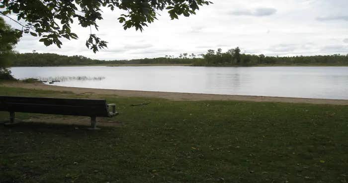 Superior National Forest Fall Lake Campground | Winton, Minnesota