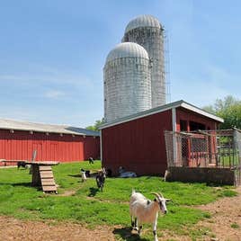 Gettysburg Farm RV Campground Camping | The Dyrt