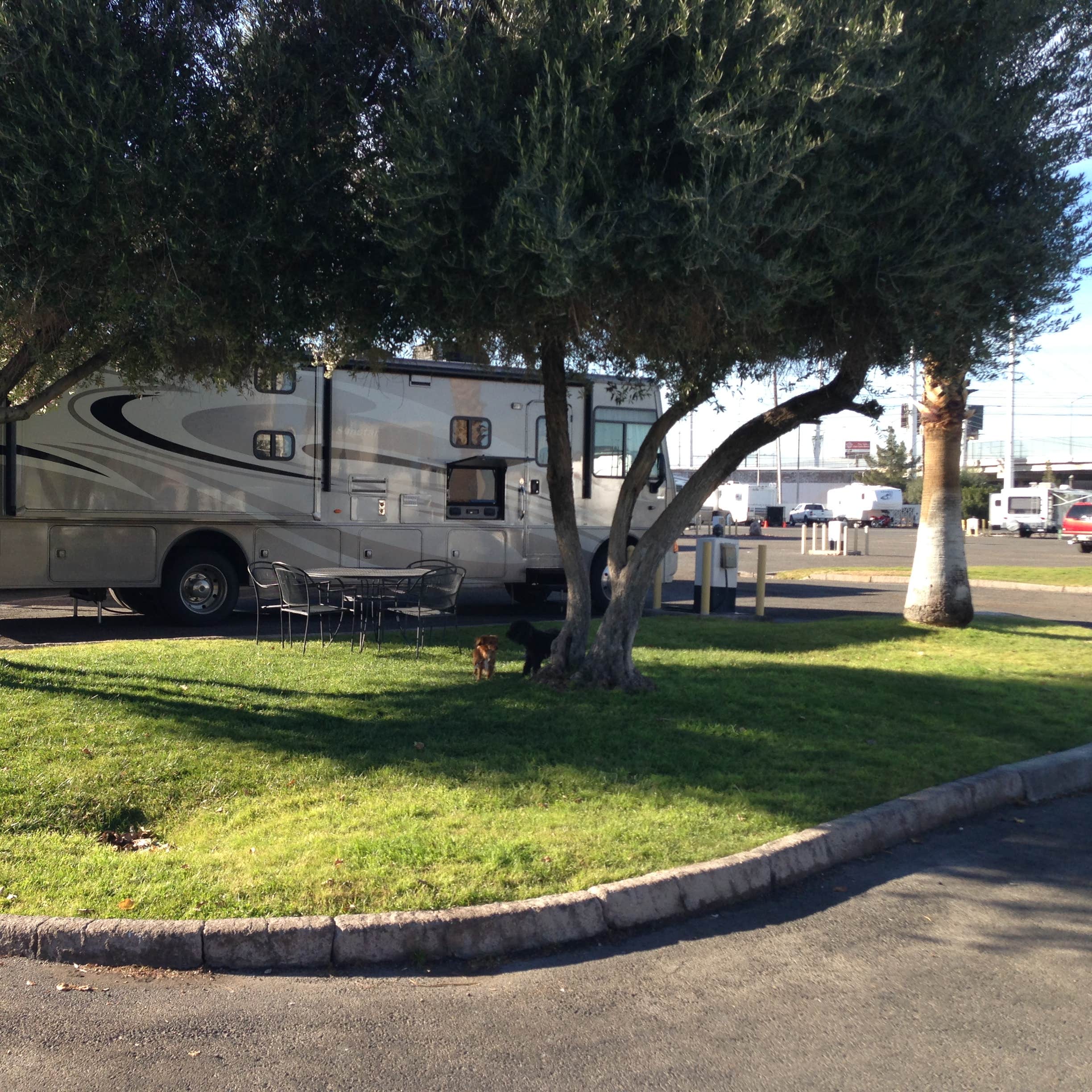 Circus Circus RV Park Camping | The Dyrt