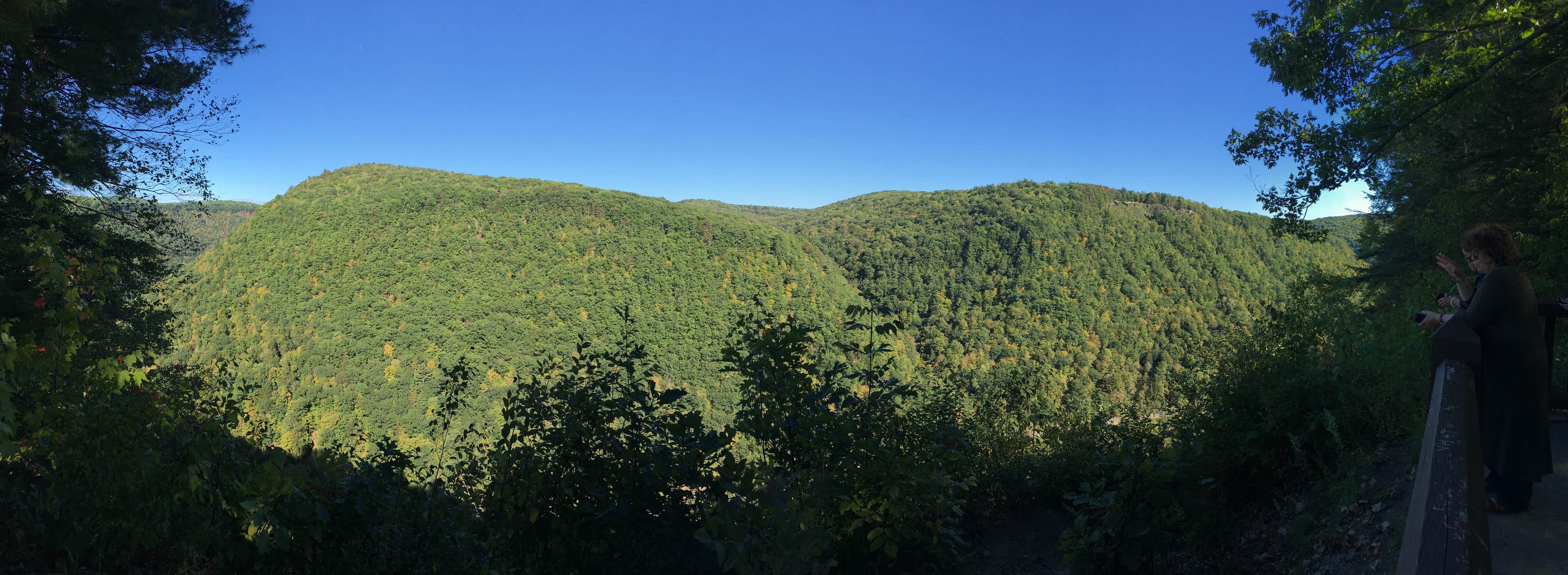 Colton Point State Park Camping | The Dyrt