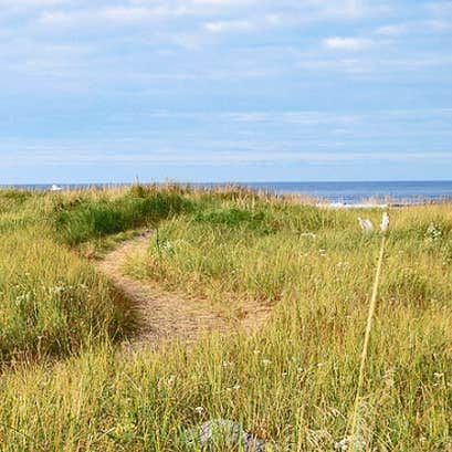 Long Beach RV & Camping Resort Camping | The Dyrt