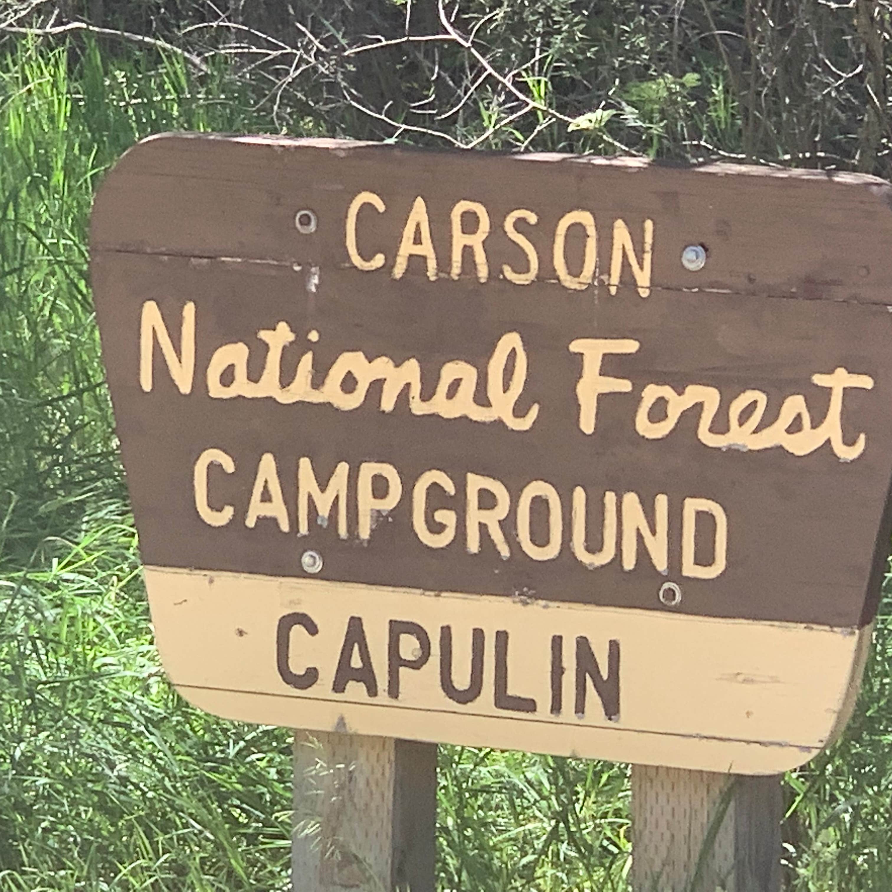 Capulin Campground Camping | The Dyrt