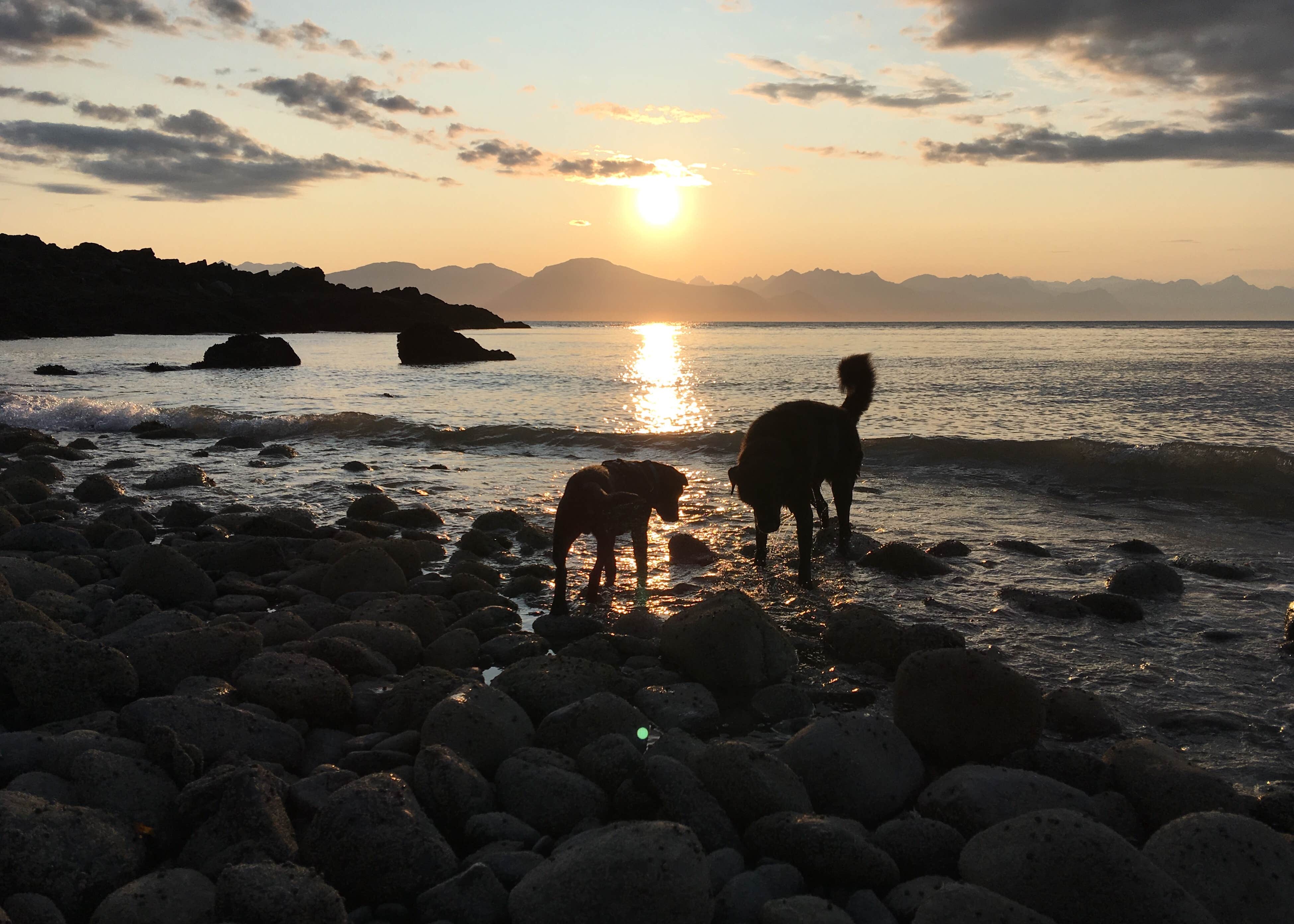 Blue Mussel Cabin Camping | The Dyrt