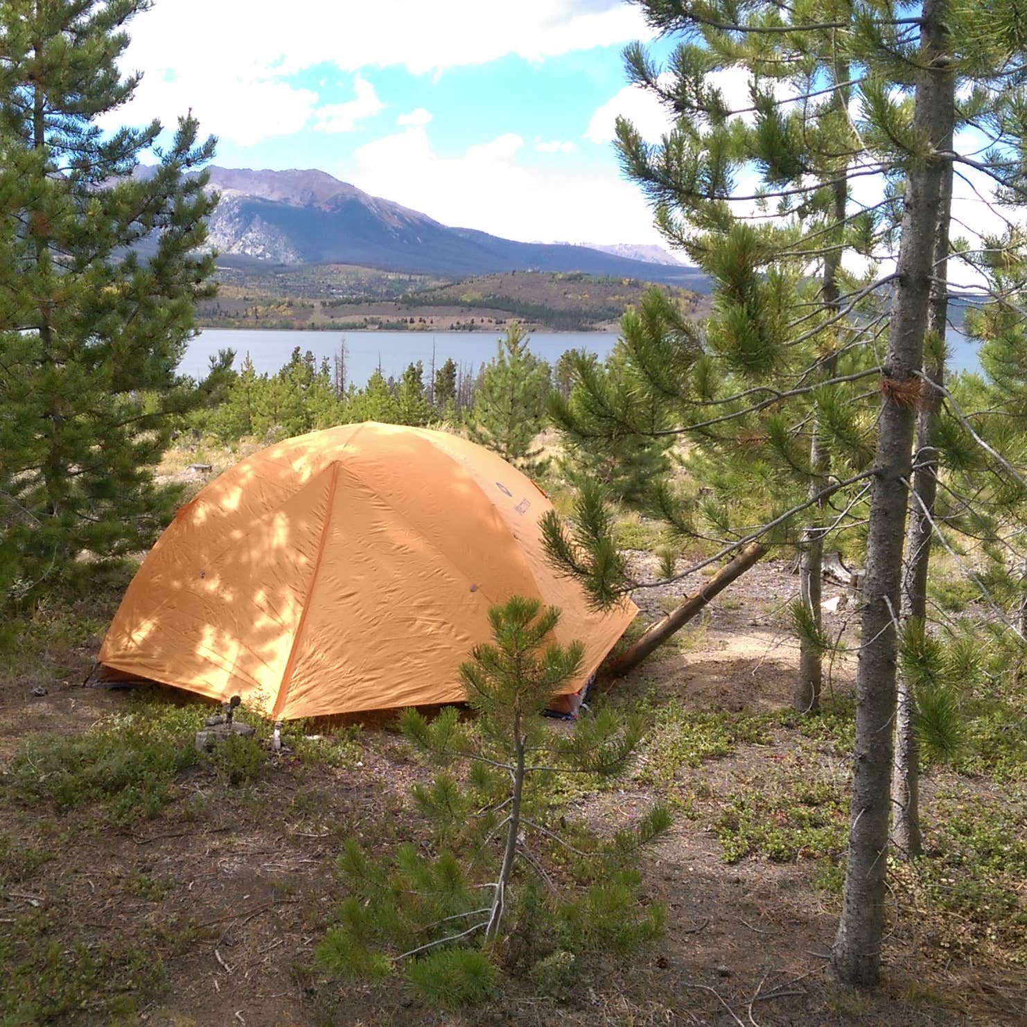 Prospector Campground Camping | The Dyrt