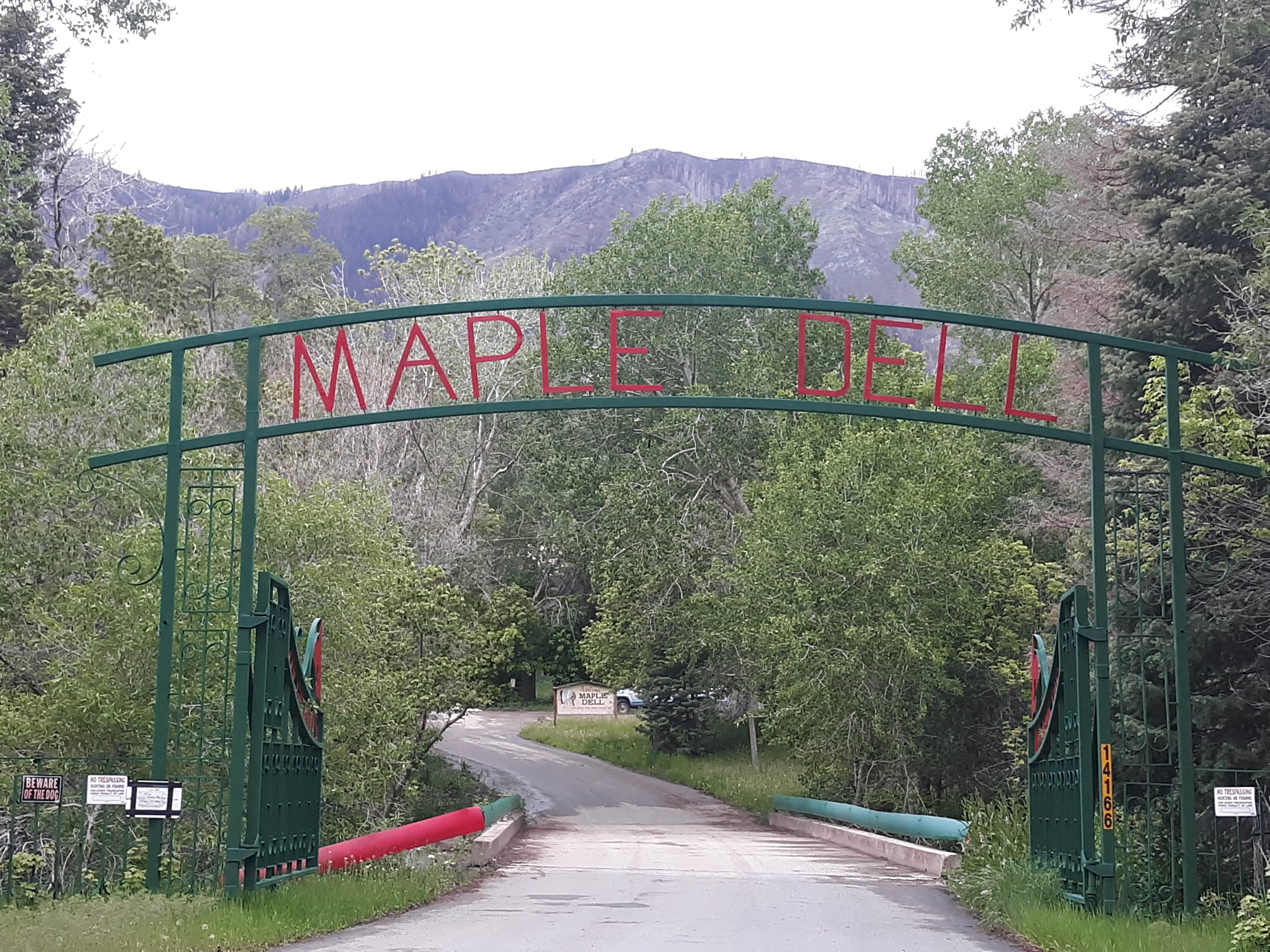Camp Maple Dell | The Dyrt