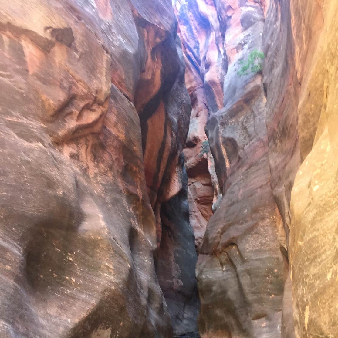 Red Ledge RV Park Camping | The Dyrt