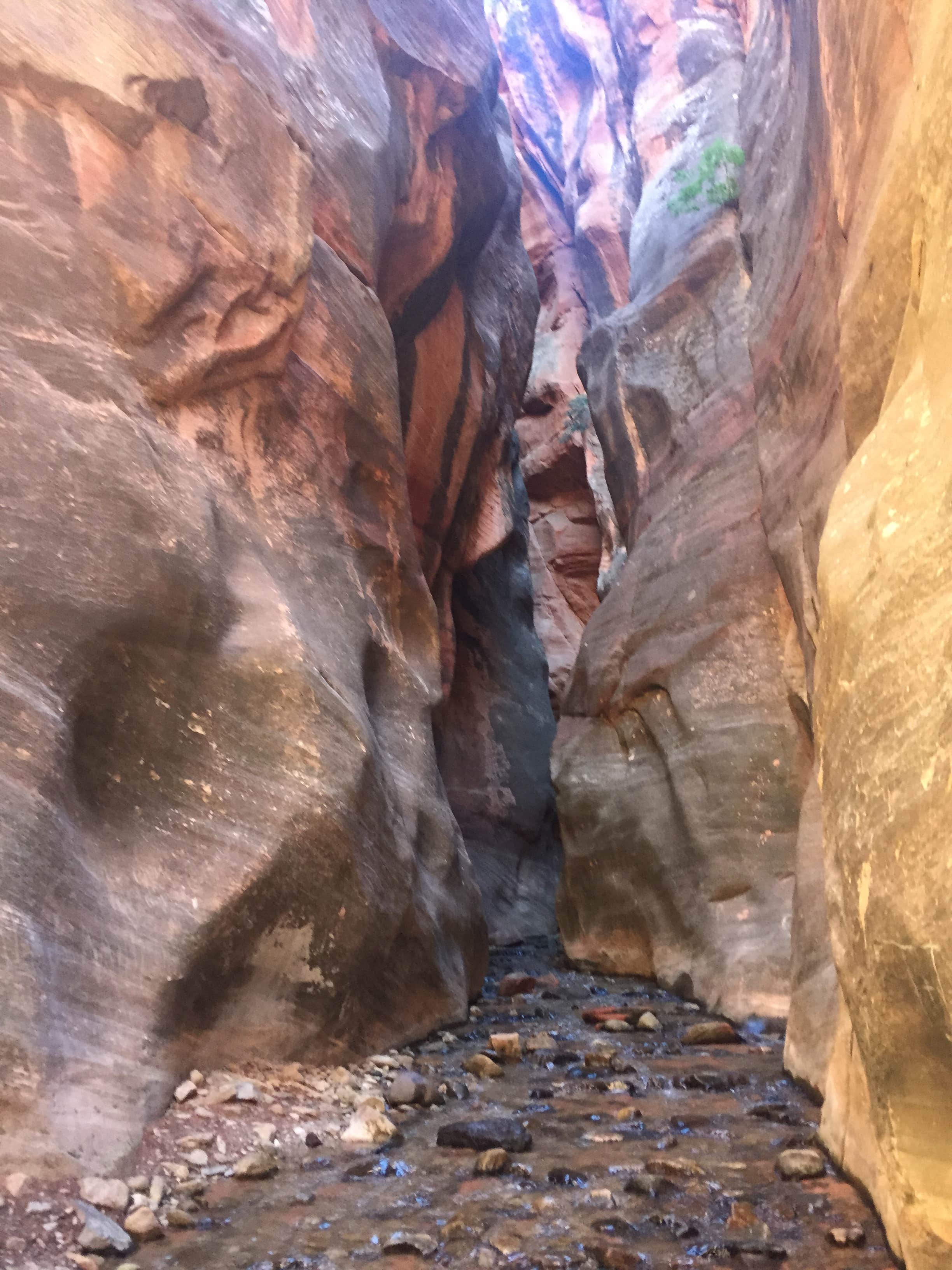 Red Ledge RV Park | Kanarraville, UT