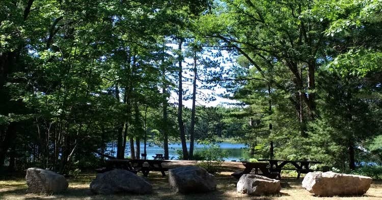 Jackson Lake State Forest Campground | Briley, MI