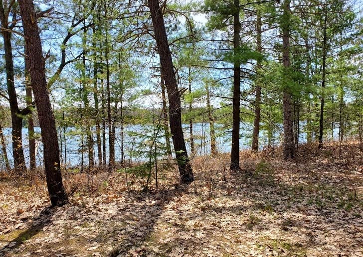 Jackson Lake State Forest Campground | Briley, MI