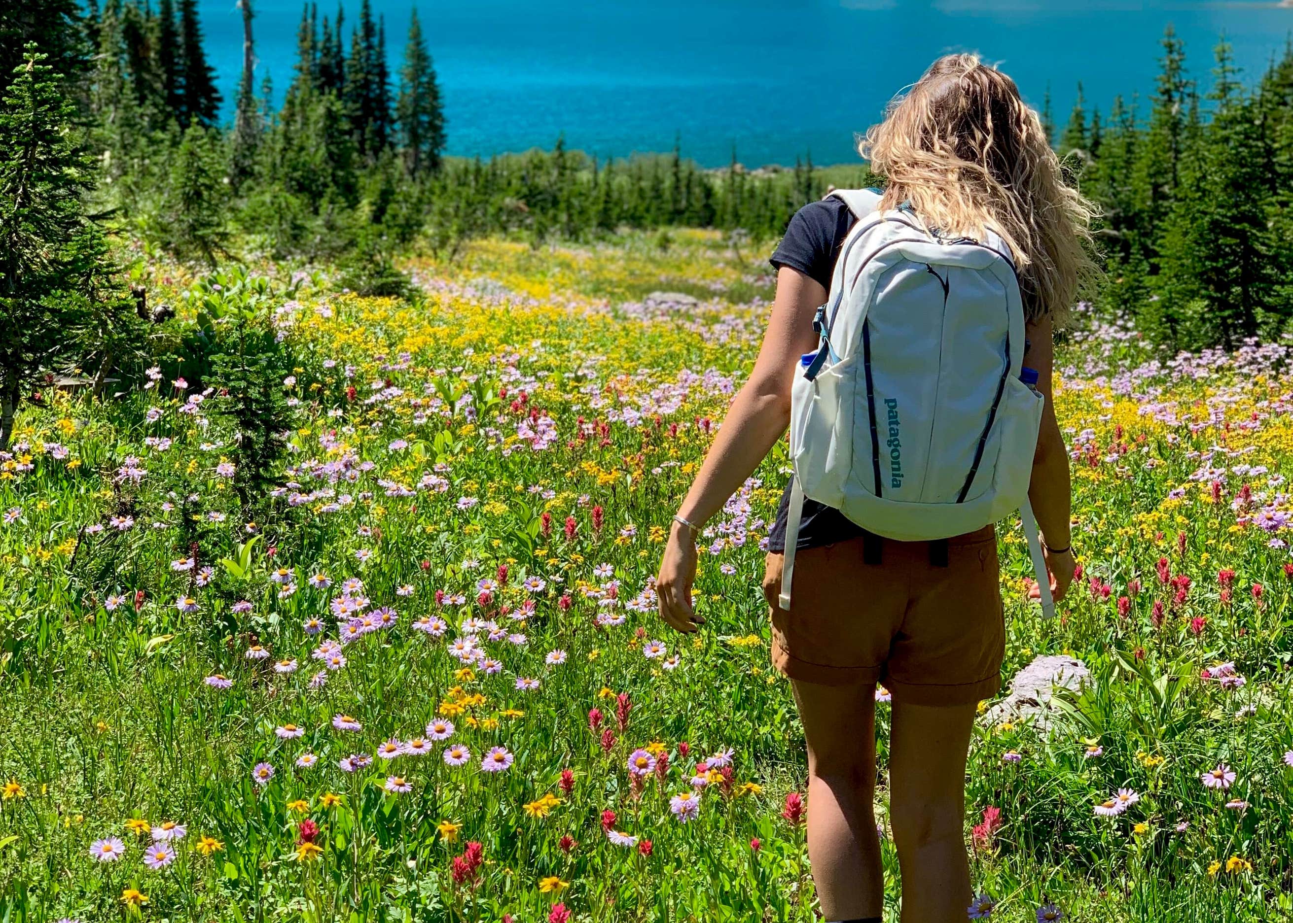 Many Glacier Campground Camping | The Dyrt