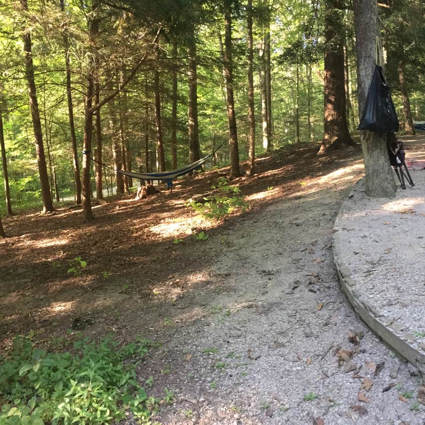 Turkey Foot Campground Camping | McKee, KY | The Dyrt