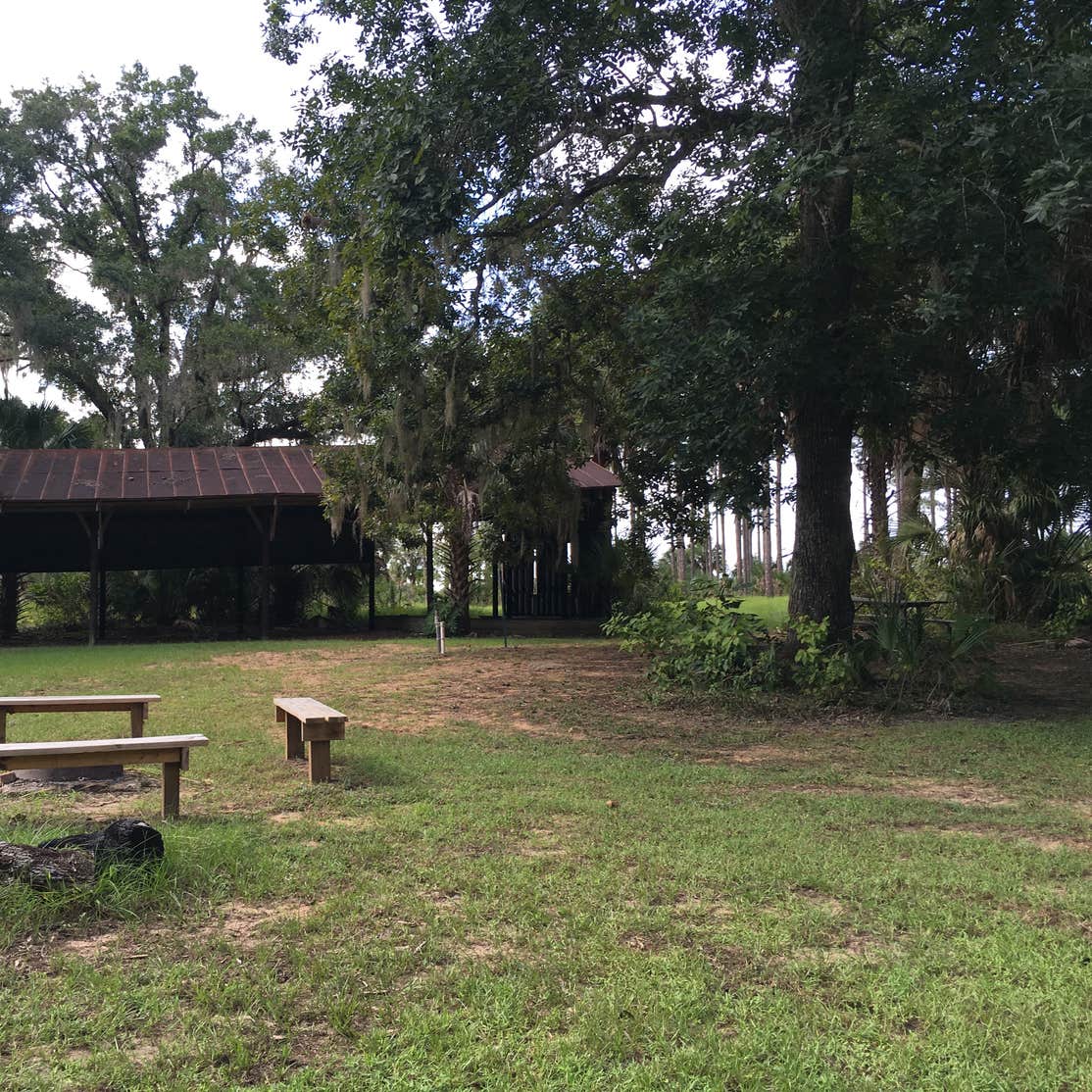 Lake Norris Conservation Area Camping | Paisley, Florida