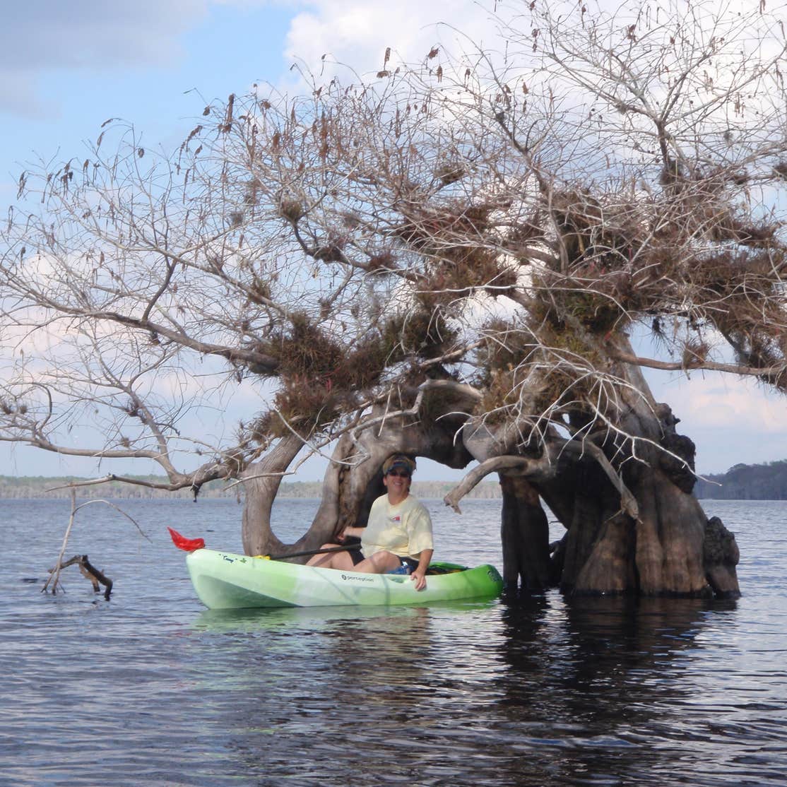 Lake Norris Conservation Area Camping | Paisley, Florida