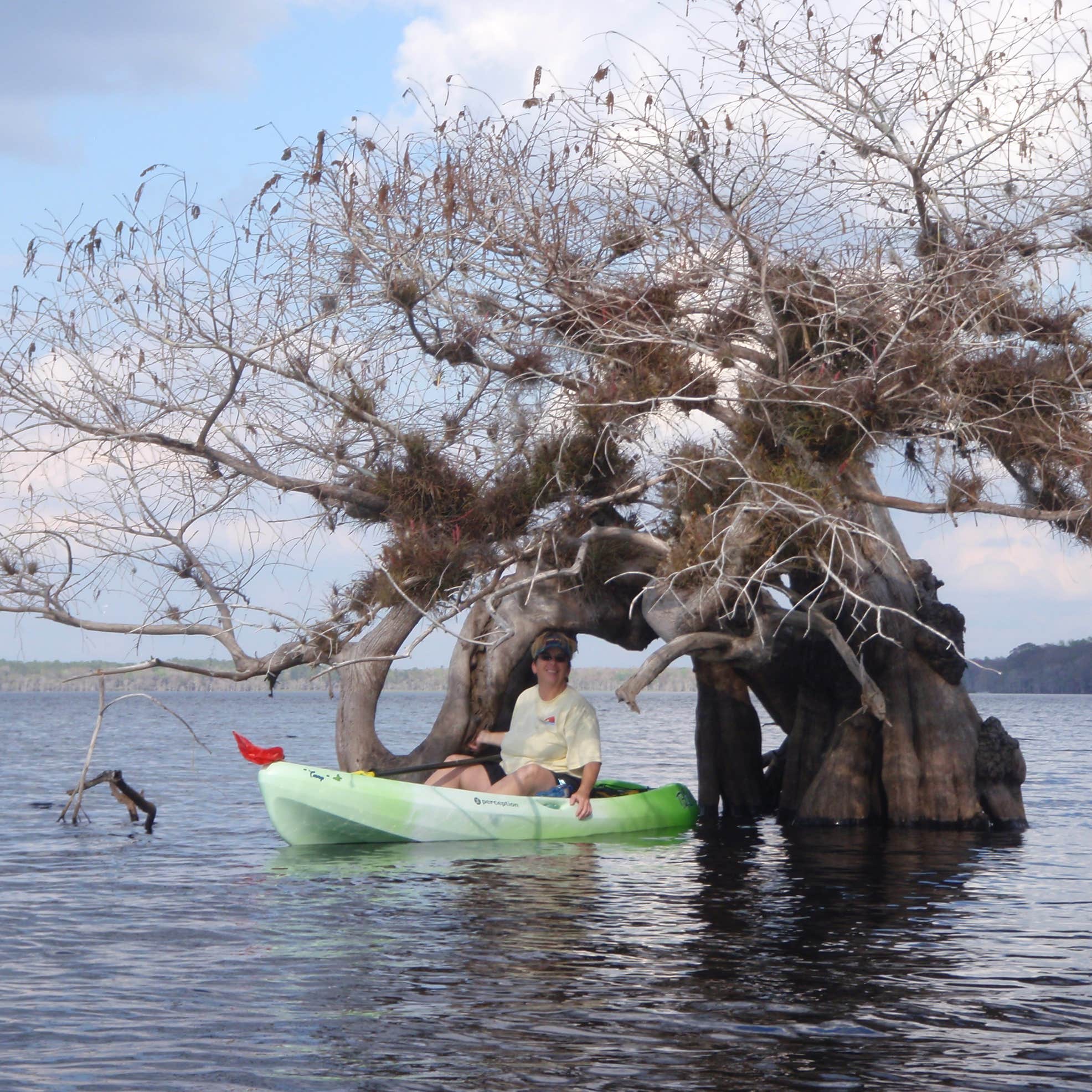 Lake Norris Conservation Area Camping | Paisley, Florida