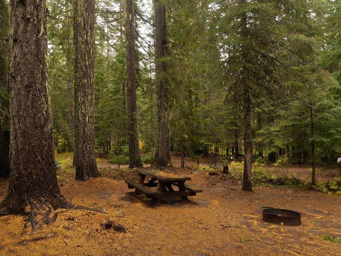 THE 10+ BEST Campgrounds near Trout Lake, WA