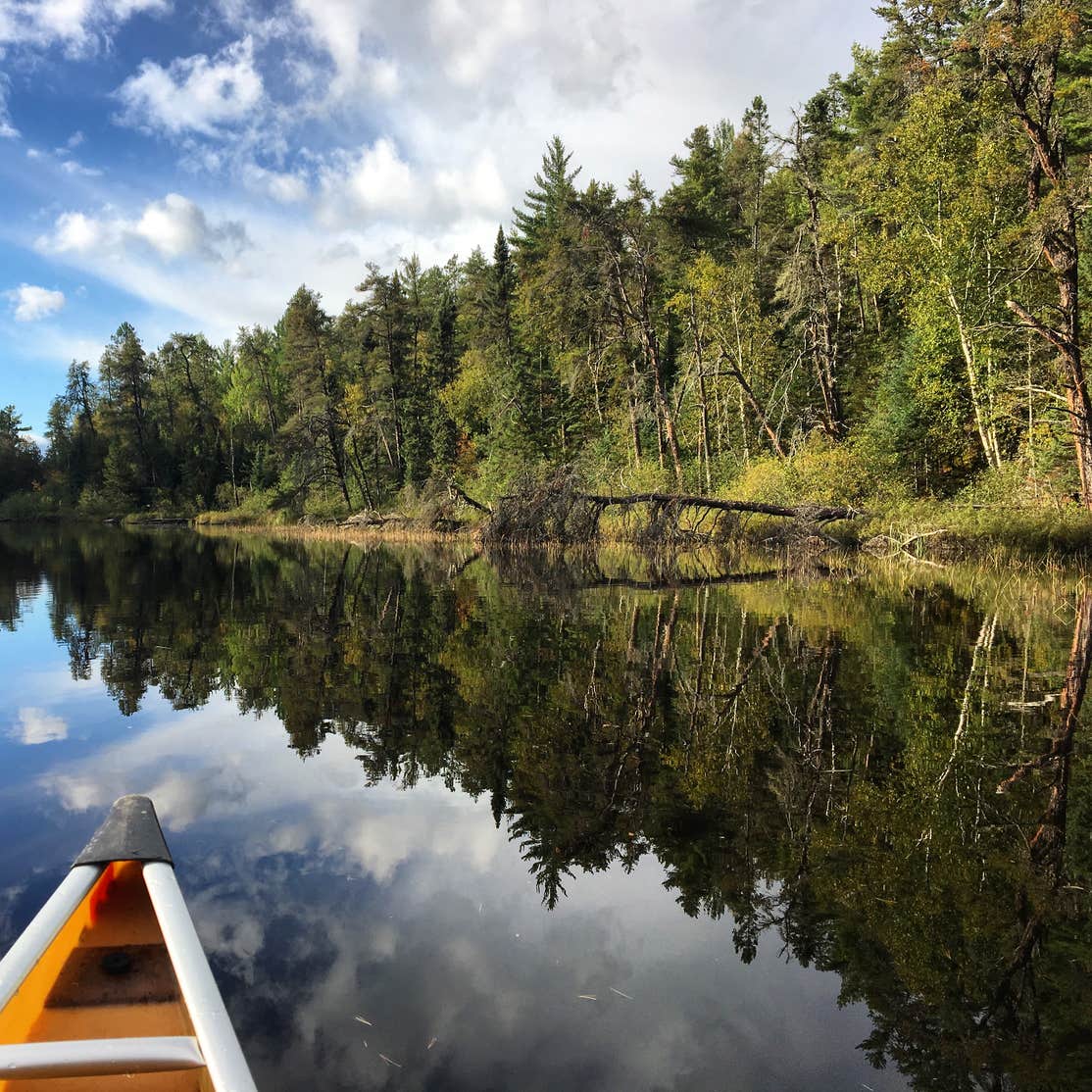 Crane Lake Primitive Campgrounds | Crane Lake, MN