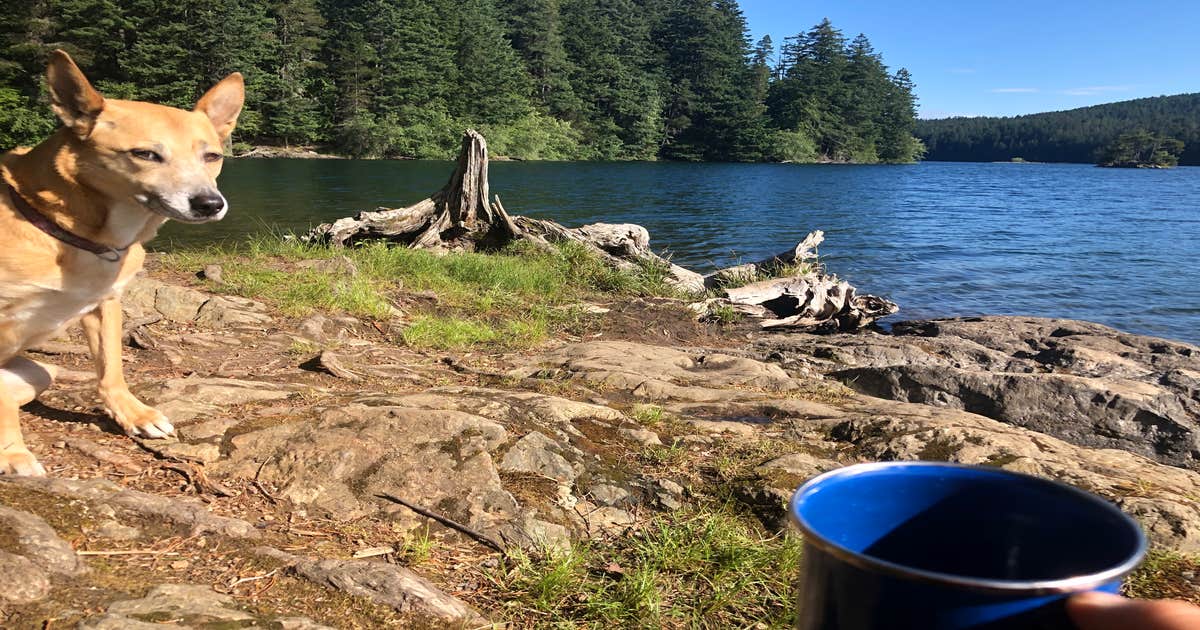 Moran State Park - Mountain Lake Camping | The Dyrt