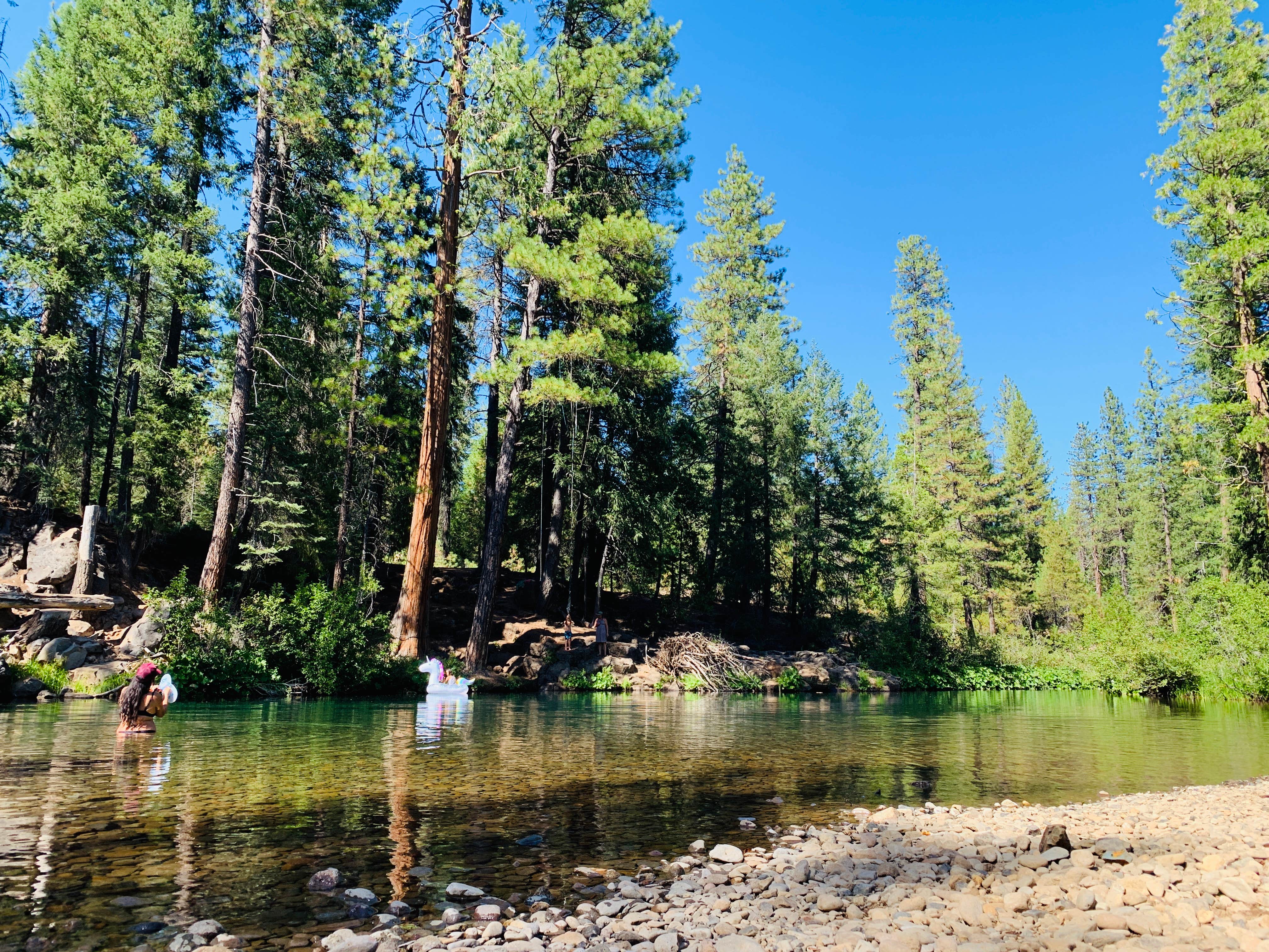 Cattle Camp Campground | McCloud, CA
