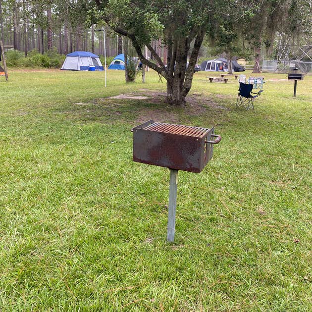 Cary State Forest Group Camp | Bryceville, Florida
